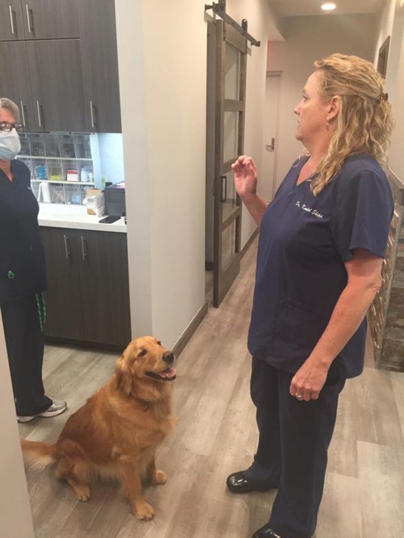 Meet the Team - Shipp Family Dentistry