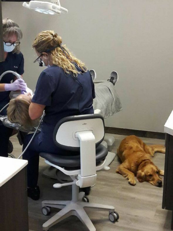 Meet the Team - Shipp Family Dentistry