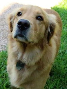 Meet the Team - Shipp Family Dentistry